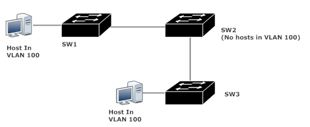 2 Add A Switch With VLAN 100 Hosts - The Bryant Advantage